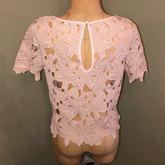 Gianni Bini | Tops | Gianni Bini Loni Lace Top Xs Pale Pink | Poshmark